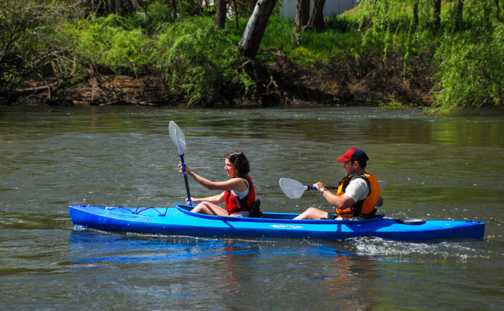 Drifter II – Safari H2O